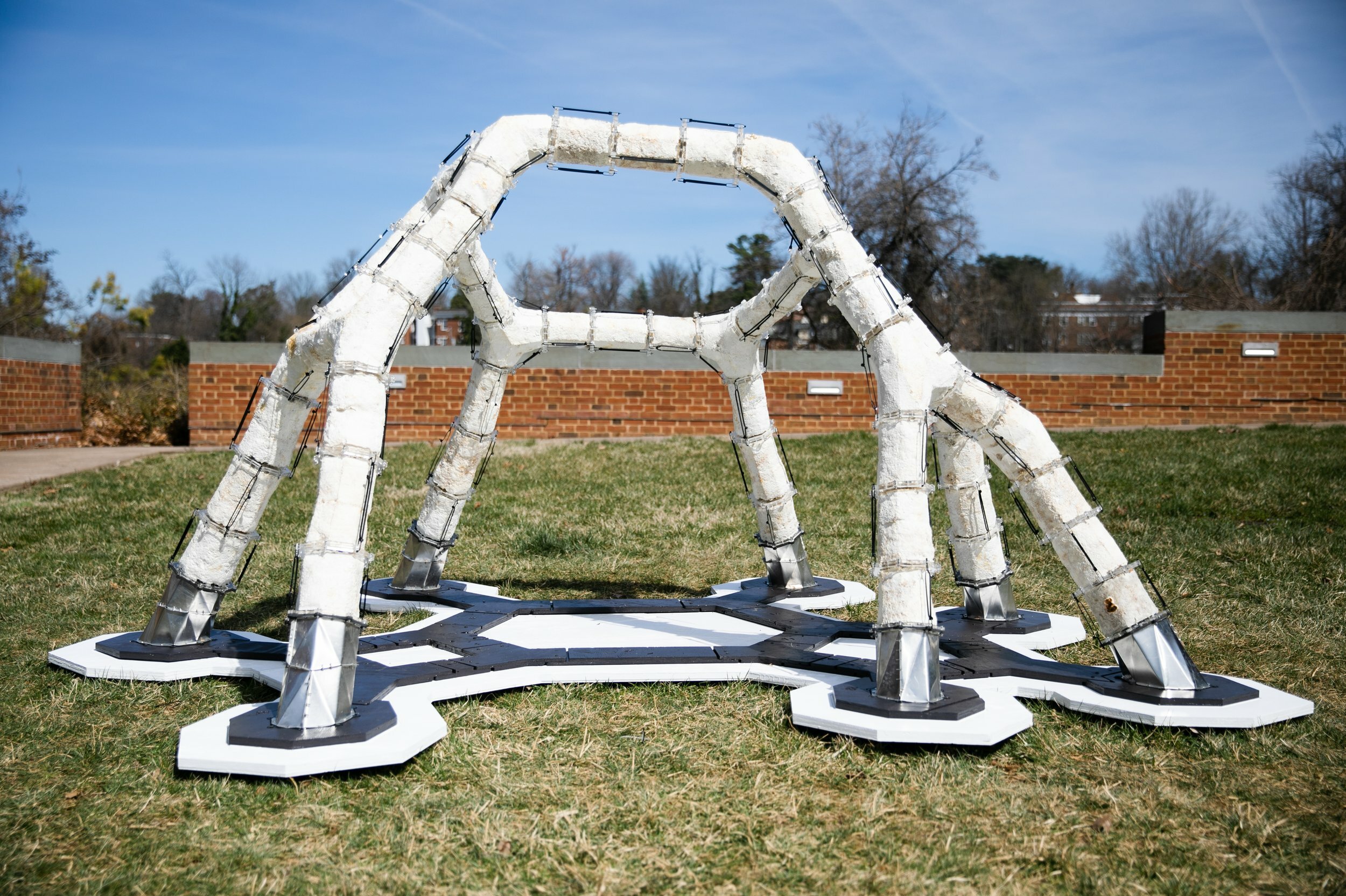 MycoCreate 2.0 - College of Arts & Architecture